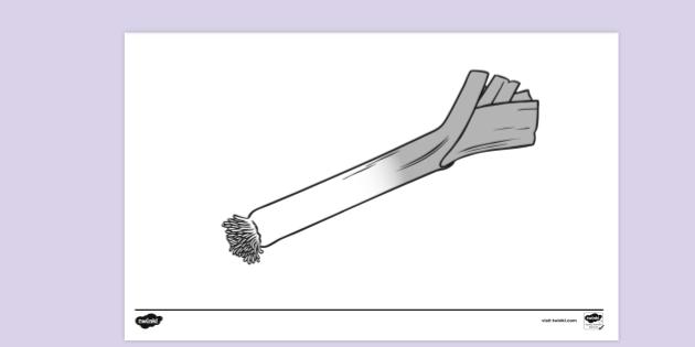trimmed leek Colouring | Colouring Sheets