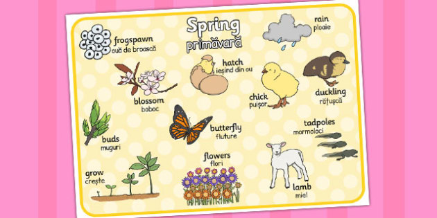 Spring Word Mat Romanian Translation (teacher made)