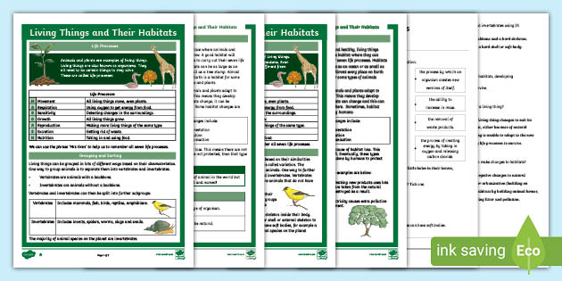 LKS2 Living Things and their Habitats Differentiated Reading Comprehension