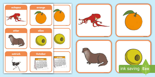 'O' Initial Letter Cards (teacher made)