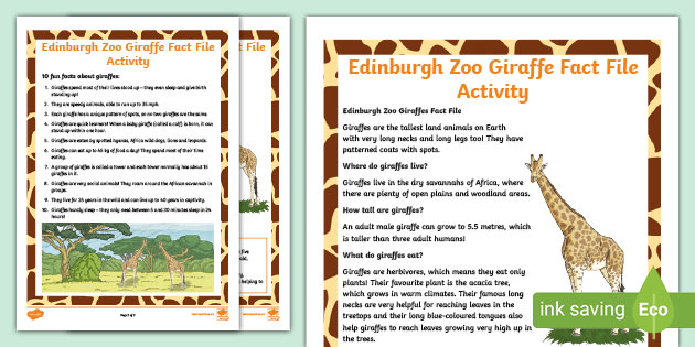 Zoo Animal Fact Sheets Zoo Animals Fact Cards Etsy UK