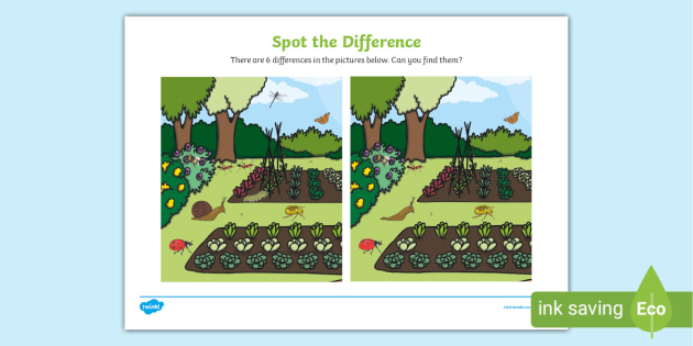 Teacher-Made Minibeasts Spot the Difference Activity