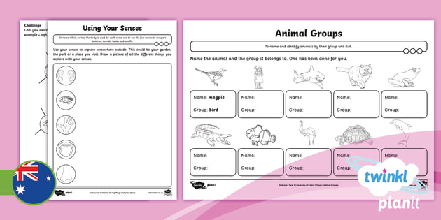 Year 1 Science Features of Living Things Home Learning Tasks