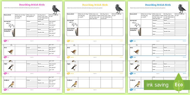 Bird Descriptive Writing Activity