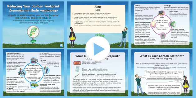 Earth Day: Reducing Your Carbon Footprint PowerPoint English/Polish