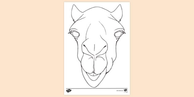 FREE! - Camel Face Colouring Sheet | Camel Colouring Sheets