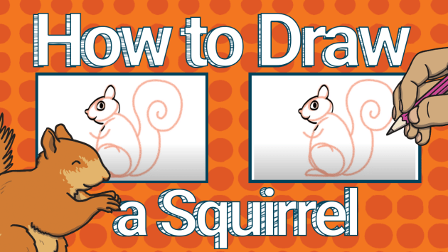 How to Draw a Squirrel | Twinkl Kid's TV