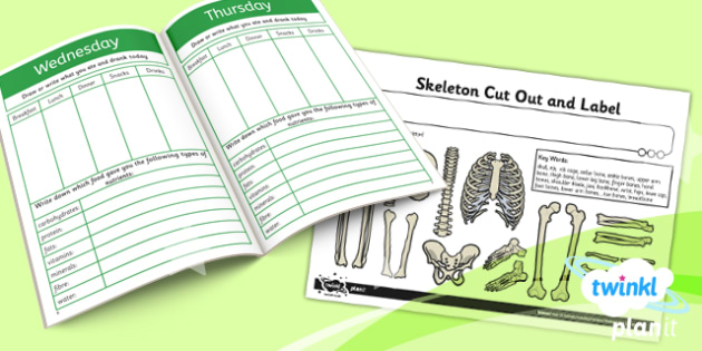 Science: Animals Including Humans Year 3 Unit Home Learning Tasks