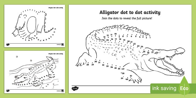 Alligator Facts for Kids - Twinkl Homework Help - Twinkl