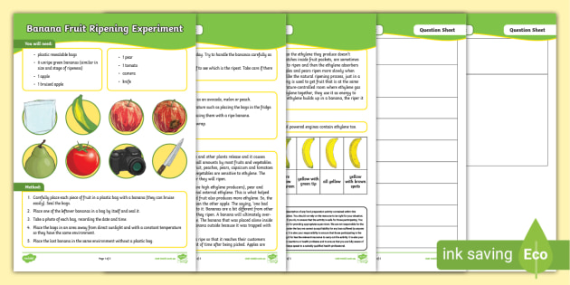 Banana Ripening Science Experiment (teacher made)