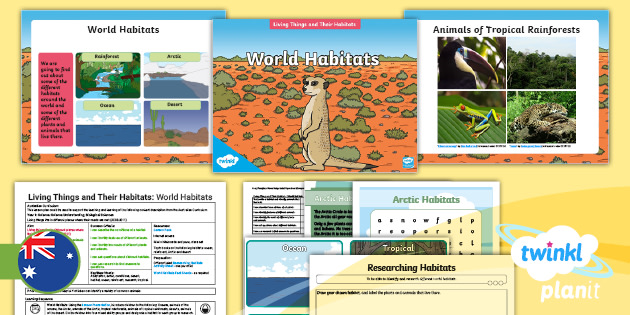 Year 1 Science Living Things and Their Habitats Lesson 4