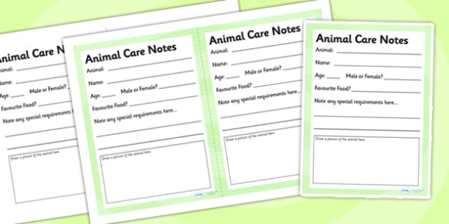 Noah's Ark Role Play Animal Care Notes (teacher made)