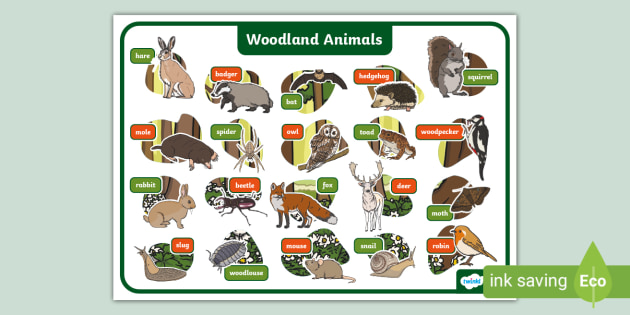 Woodland Word Mats | twinkl.com.au