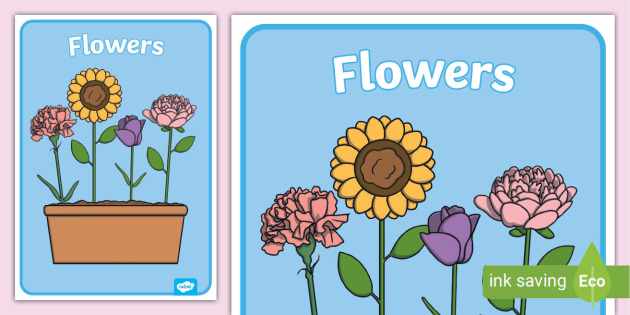 FREE! - Free! - Printable Flowers Poster | Primary Resources