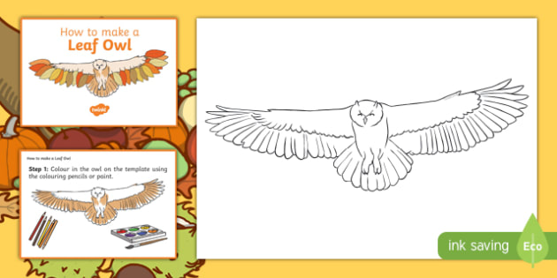 Leaf Owl Craft Instructions (teacher made)