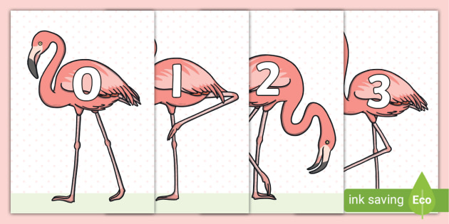 Flamingo Maths Display - Number Display Cards - Twinkl