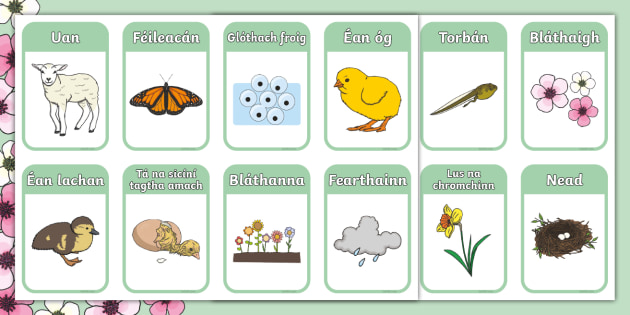 Clipart Am Earraigh