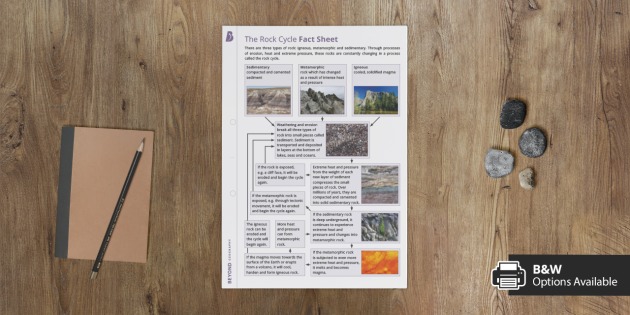 The Rock Cycle Fact Sheet (teacher made)