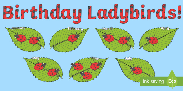 👉 Birthday Ladybirds Display Pack (teacher made)