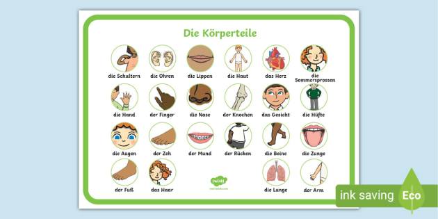 Die Körperteile Word Mat German