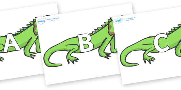 FREE! - A-Z Alphabet on Iguanas (teacher made)