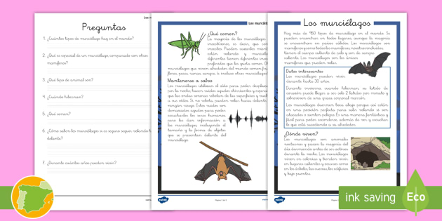 Comprensión lectora: Los murciélagos (teacher made)