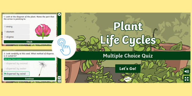 Reproduction in Flowering Plants Life Cycles Quiz