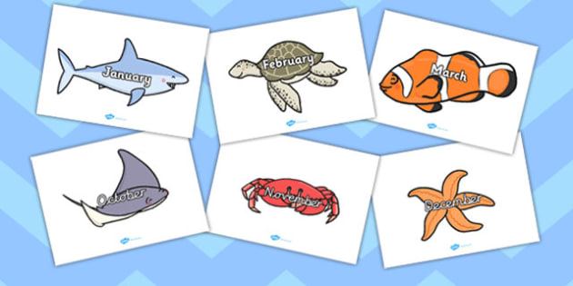FREE! - Months of the Year on Sea Creatures (teacher made)