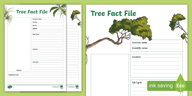 Blank Tree Fact File (teacher made)