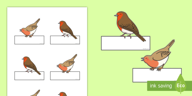 👉 Robin-Themed Self-Registration Labels (teacher made)