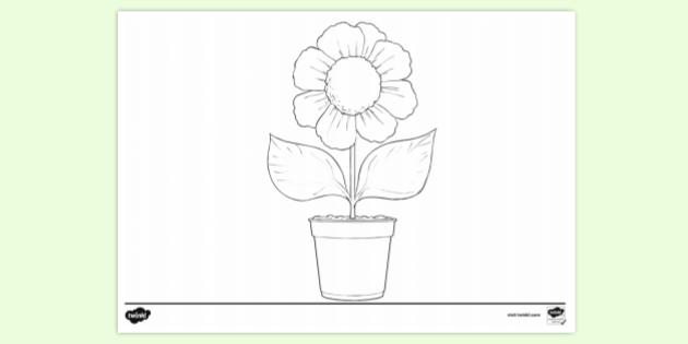 FREE! - Flower Colouring Page | Colouring Sheets