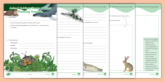 Biology Poster Projects | twinkl.com.au