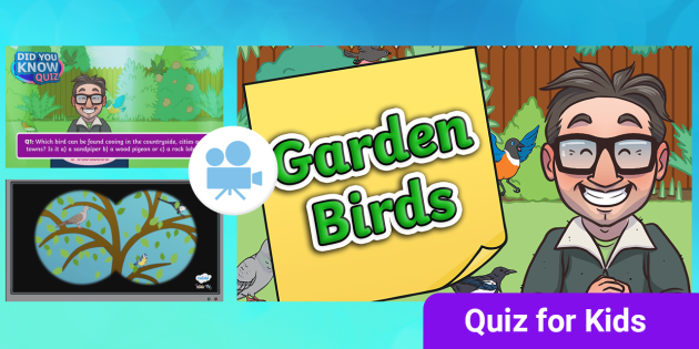 British Birds Facts Video Quiz for Kids | Quizzes | Parents