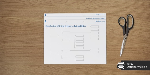 Classification of Living Organisms Cut and Stick