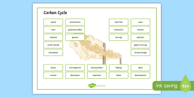 Carbon Cycle Word Mat (teacher made)