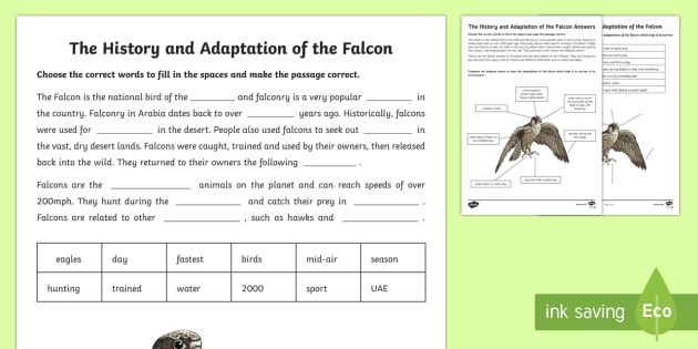 The Falcon Worksheet / Worksheet (teacher made)