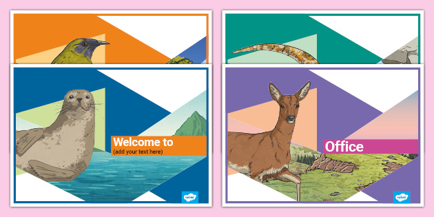 Around School Display Signs (teacher made)