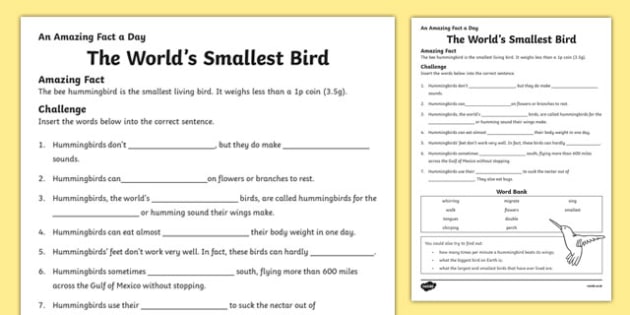 The World’s Smallest Bird Worksheet - Science Resource - Twinkl