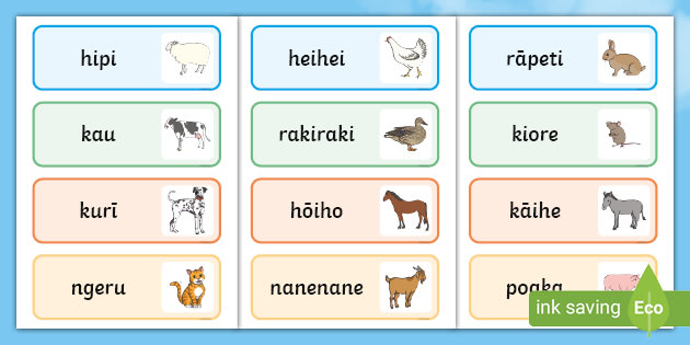 Te Reo Māori Animal Word Cards (teacher made)