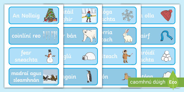 Winter Topic Word Cards Gaeilge (teacher made)