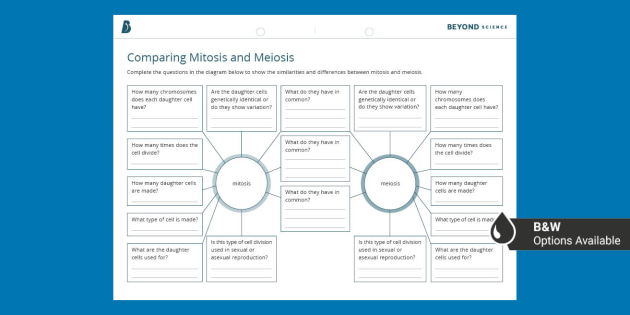 Mitosis Vs Meiosis Worksheet Answer Key