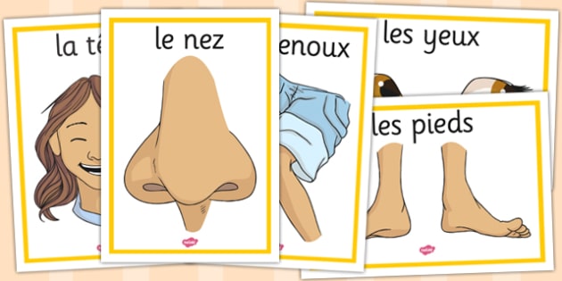 French My Body Display Posters (teacher made)