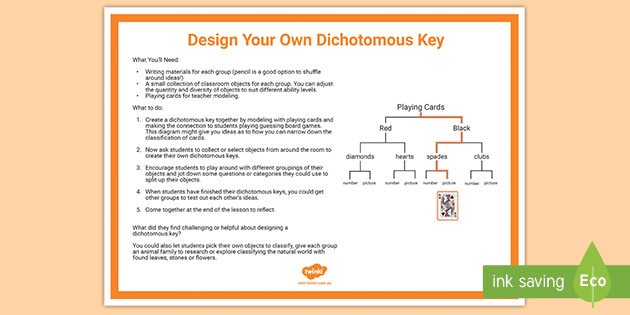 Design Your Own Dichotomous Key (teacher made)