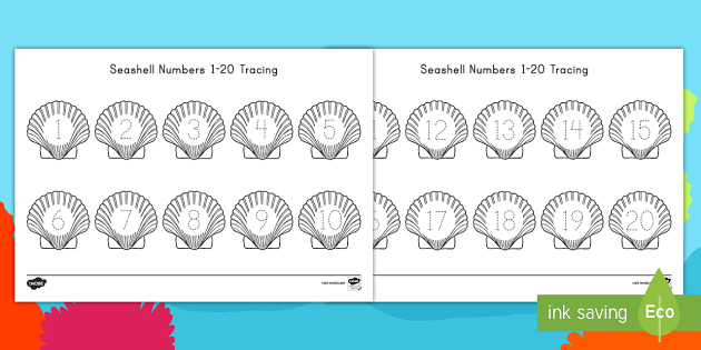 Seashell Numbers 1-20 Tracing Worksheet / Activity Sheet