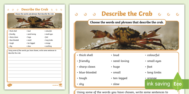 Describe the Crab Activity (teacher made)