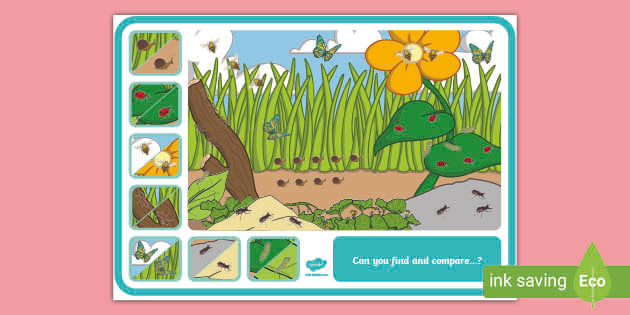 👉 Talk About Comparing Groups of Identical Objects to 5 Maths Activity