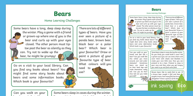 Bears Home Learning Challenges Reception FS2 (teacher made)