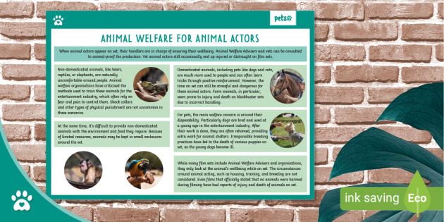 Animal Welfare for Animal Actors Fact Sheet - Twinkl Pets