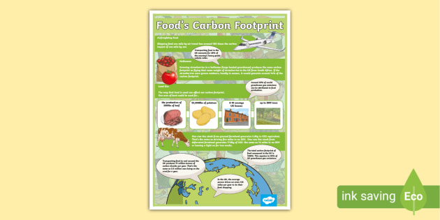 KS2 Carbon Footprint and Food Information Poster