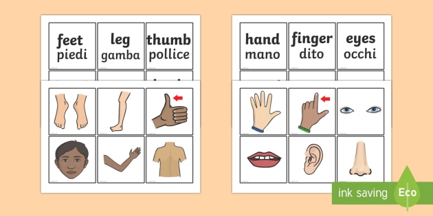 Parts of the Body Word Matching Cards English/Italian - Parts Of The Body